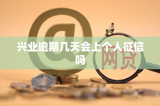 兴业逾期几天会上个人征信吗-停息分期